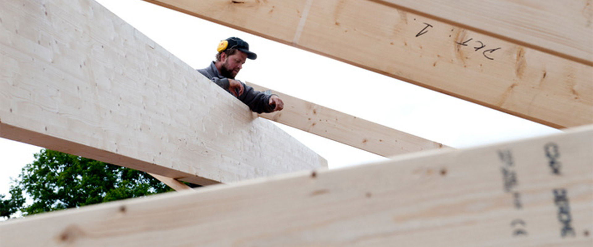 Treated Carcassing Timber | Totem Timber